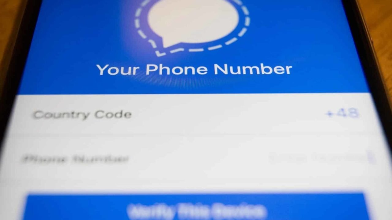 Conheça o Signal, aplicativo usado pelo Elon Musk em vez do WhatsApp